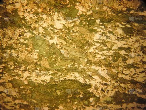 岩石学光学矿物学和薄片显微镜照片