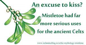 Mistletoe Sacred Plant Of The Sun God