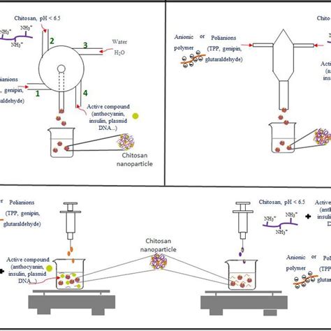 Methods Of Producing Biopolymeric Nanoparticles By Polyelectrolyte Download Scientific Diagram