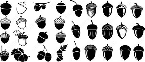 Acorn Vector Svg Bundle Acorn Clipart Fall Svg Cut Files Set 01 Stock