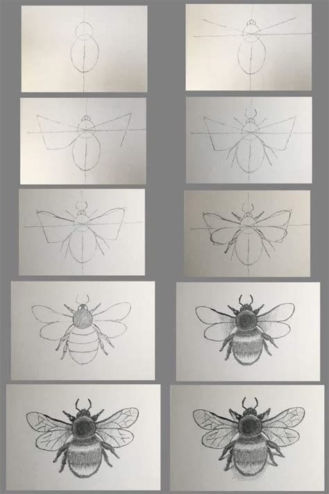 How To Draw Bumble Bee Step By Step Tutorial Bee Drawing Bee Painting Bee Art