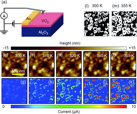 A Schematic Diagram Of The C Afm Setup Simultaneously Obtained Download Scientific Diagram