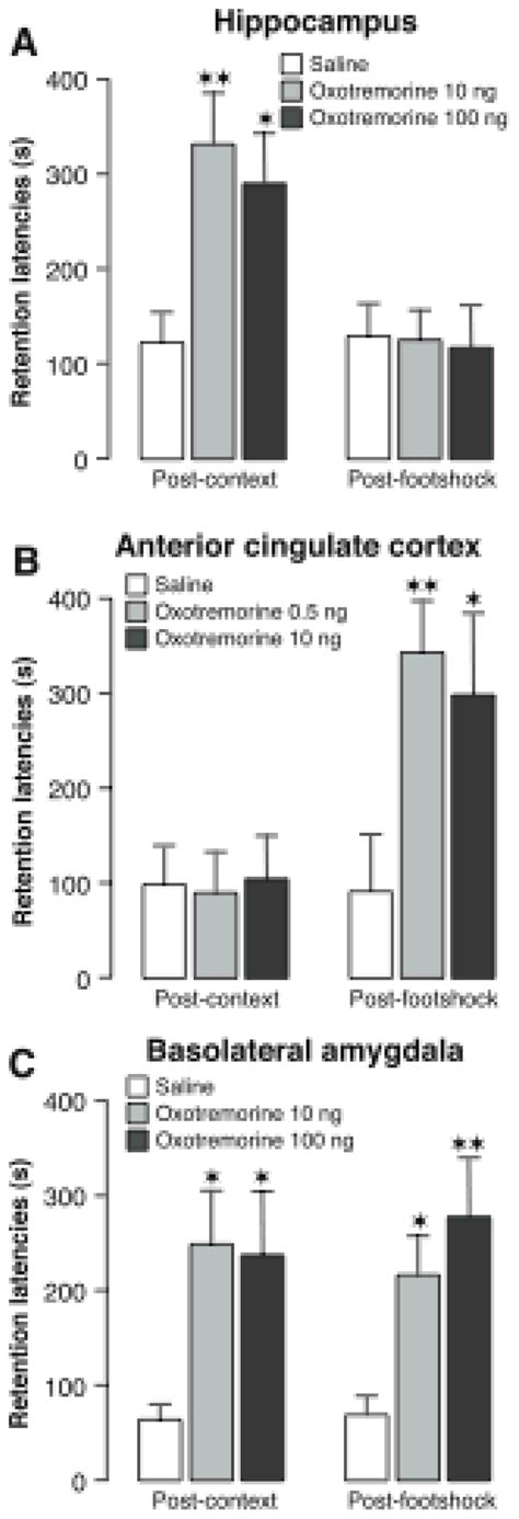 Differential Involvement Of The Hippocampus Anterior Cingulate Cortex