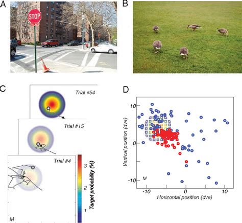 Figure 141 From Learning Where To Look For A Hidden Target Semantic Scholar