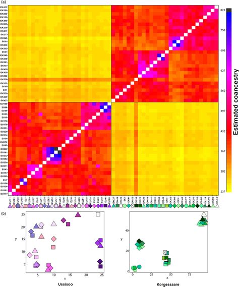 A Heatmap Of The Estimated Coancestry Between Pairs Of Individuals Download Scientific