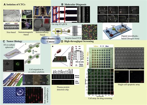 Microfluidics For Detection Of Exosomes And Micrornas In Cancer State Of The Art Molecular