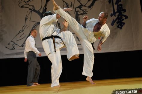 Kyokushinkai Karate Ushiro Mawashi Geri Foto