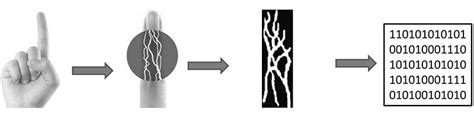 Fingerprint Vs Finger Vein Biometric Authentication