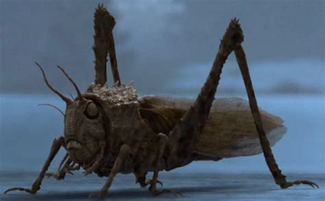 Giant Locust My Dreamworks Wiki Fandom
