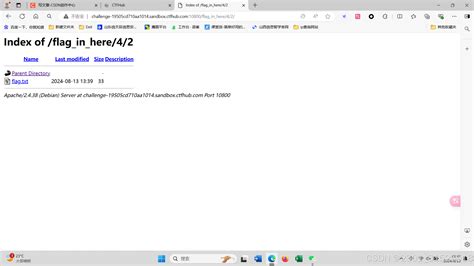 Ctf Web系列 信息漏洞ctfweb隐藏flag怎么找 Csdn博客 Ctf Web系列 信息漏洞ctfweb隐藏flag怎么找 Csdn博客
