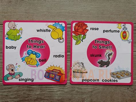 Learning Puzzles Classifying купить в интернет магазине Booklavka