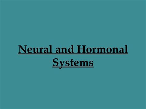 Neural And Hormonal Systems Neuroscience And Behavior Neural