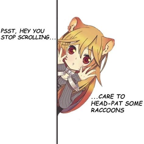 Press F To Headpat Raphtalia ლ ╹ ╹ლ R Shieldbro