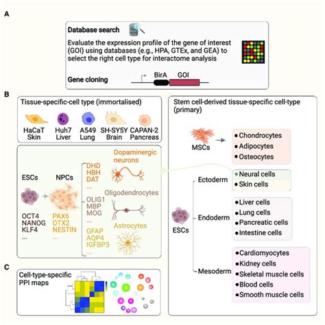 Schematic Of Ap Ms And Pl Ms Approaches A Ap Ms Using An Ip Grade