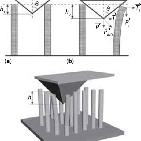 6 schematic of nanoindentation of the vacnt array a the indenter