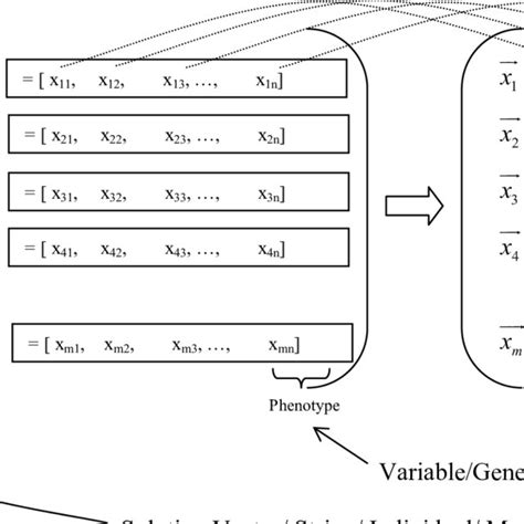 Representation Of Variables Download Scientific Diagram