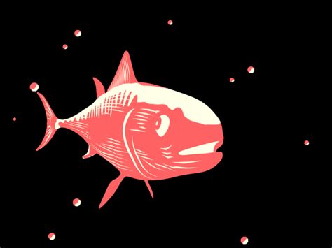 Nicola Gastaldi Creates 100 Mind Bending Looping Animated Gifs In 100