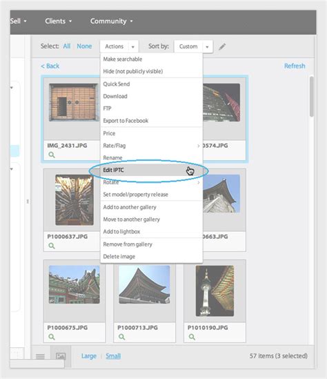 Editing Iptc And Metadata Photoshelter Support Center