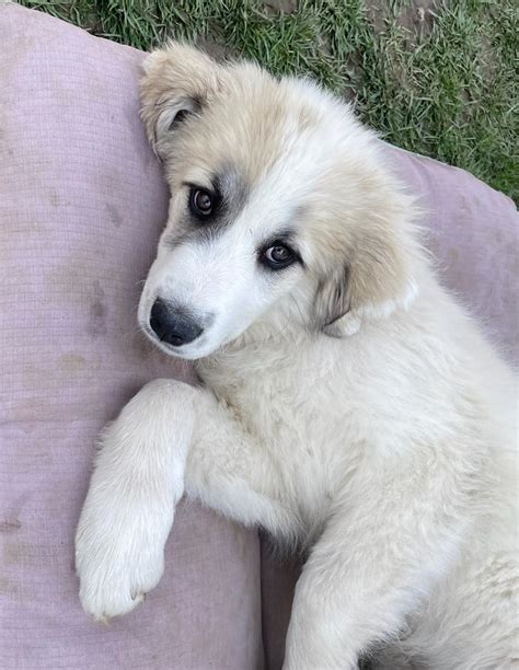 200 Best Nerdy Girls Images On Pholder Starterpacks Sfw Next Door