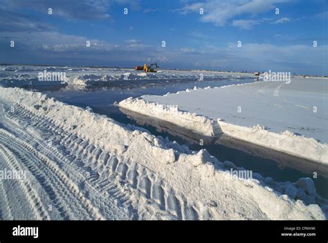 Puglia National Reserve Of Saline Margherita Di Savoia Fg