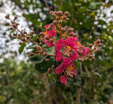 Simple 2025 මැයි 02 සඳුදා වෙනදාට වඩා පාන්දරින් වැඩ පළ අවසන් කර නිවසින් පිටත්ව දරුවන් පාසලට