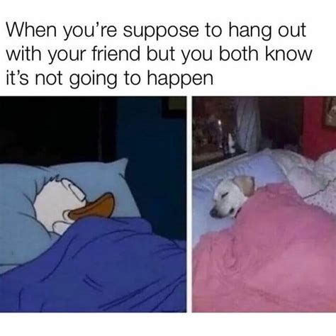 30 Relatable Memes That Describe A Friendship