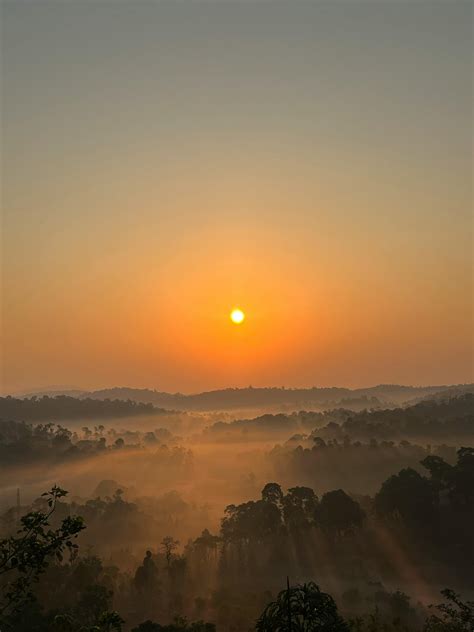 가벼운 간과하다 경치 고요한 고요함 골짜기 광선 구름 그림 같은 나무 높은 대기의 따뜻함 롤링 힐스 박무 산 새벽 수평선 숨 막히는