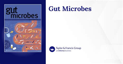 Metaproteomics Reveals Age Specific Alterations Of Gut Microbiome In… Phylogene