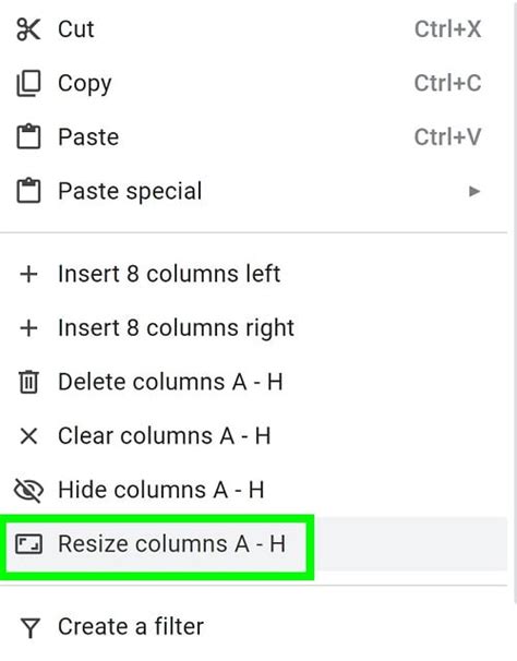 resize columns option after right clicking on a selected column in