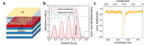 8 Microcavity Structure A Schematic Illustration Of The Investigated Download Scientific