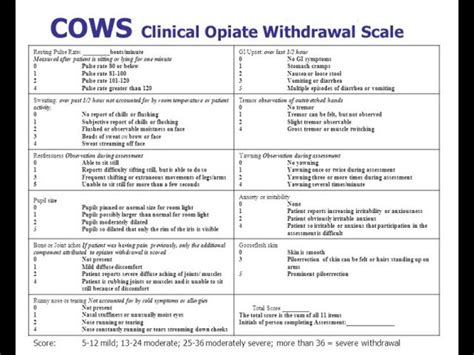 Thomas Recipe Opiate Withdrawal And The Cows Sheet Bryont Blog