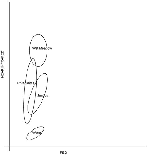 Example Of The Variability In Spectral Signatures Of Download