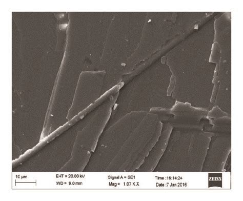 Surface Morphology Of The Carbonate Samples Before And After The Download Scientific Diagram