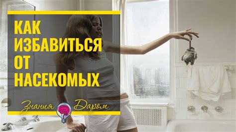 КАК ИЗБАВИТЬСЯ ОТ НАСЕКОМЫХ В ВАННОЙ - YouTube