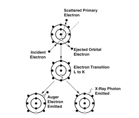 15 Inner Shell Ionization In An Atom And Subsequent De Excitation By Download Scientific