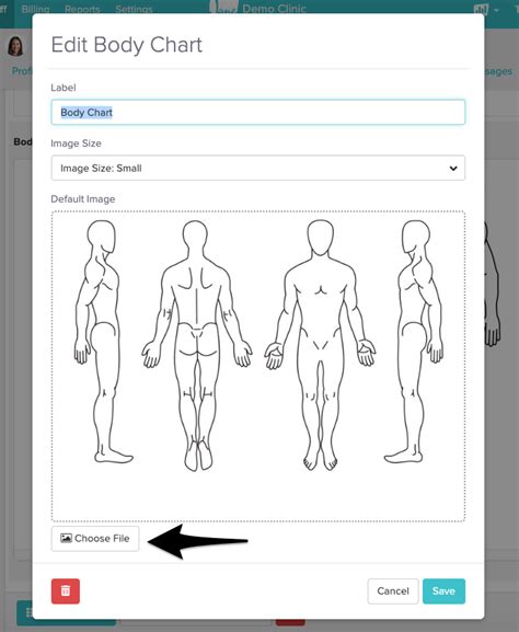 How To Face Chart Jane App