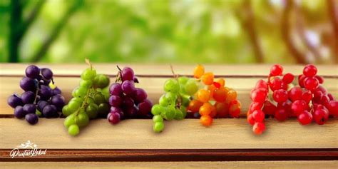 Bugnay Ang Top 11 Health Benefits Alamin