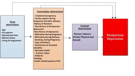 Conceptual Framework Illustrating The Hierarchical Model Of Risk Download Scientific Diagram