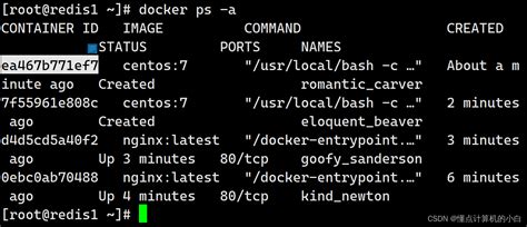 Docker镜像操作docker 运行镜像 Csdn博客