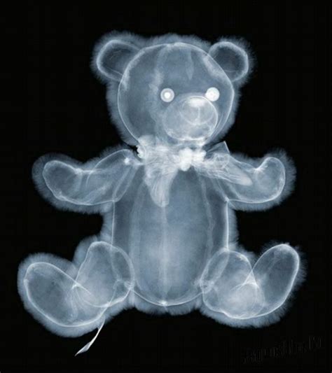 Всепроникающие фотографии Ника Виси