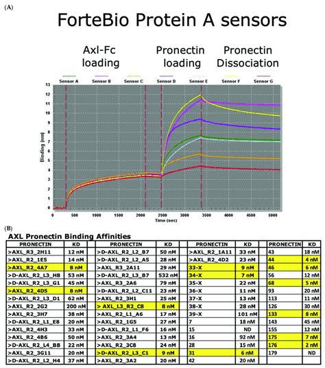 A Binding Affinity Curves For Lead Axl Binder Pronectin B The Download Scientific Diagram