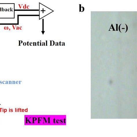 Schematic Diagram For KPFM Test A Photo Of The Local Area In The Download Scientific Diagram