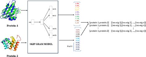 Figure 1 From R2v Ppi Enhancing Prediction Of Protein Protein Interactions Using Word2vec