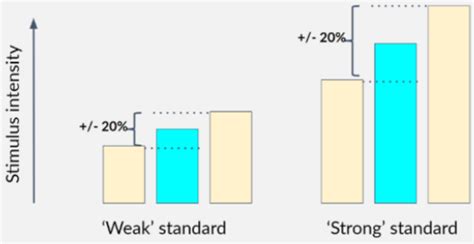lecture 3 perception 2 psychophysics flashcards quizlet