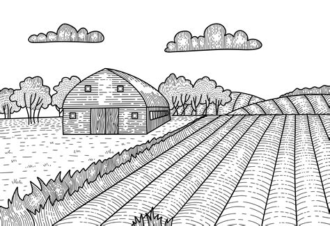 Farm Landscape Drawing