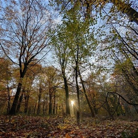 Klaas Devos Autumn 1h54m Rdjmixes