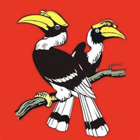 စစ်ကောင်စီ ကျူးလွန်မှုတွေ ရပ်တန့်စေဖို့ ကုလ၊ တရုတ်နဲ့ နိုင်ငံတကာကို Tnla အကူအညီတောင်း