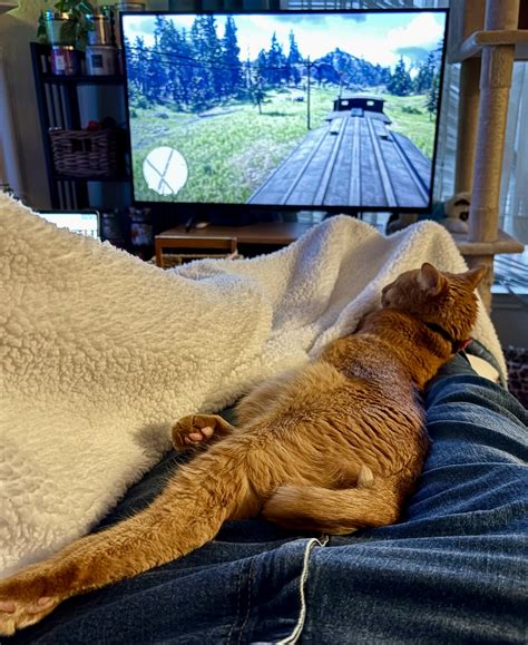 Rdr2 Is The Crumbses Favorite Game Album On Imgur