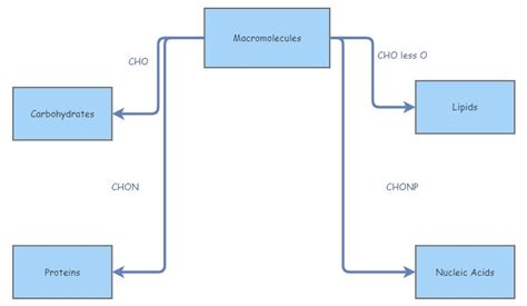 Macro Flow Chart Insight Maker