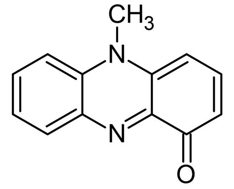 Catalase Chemical Structure